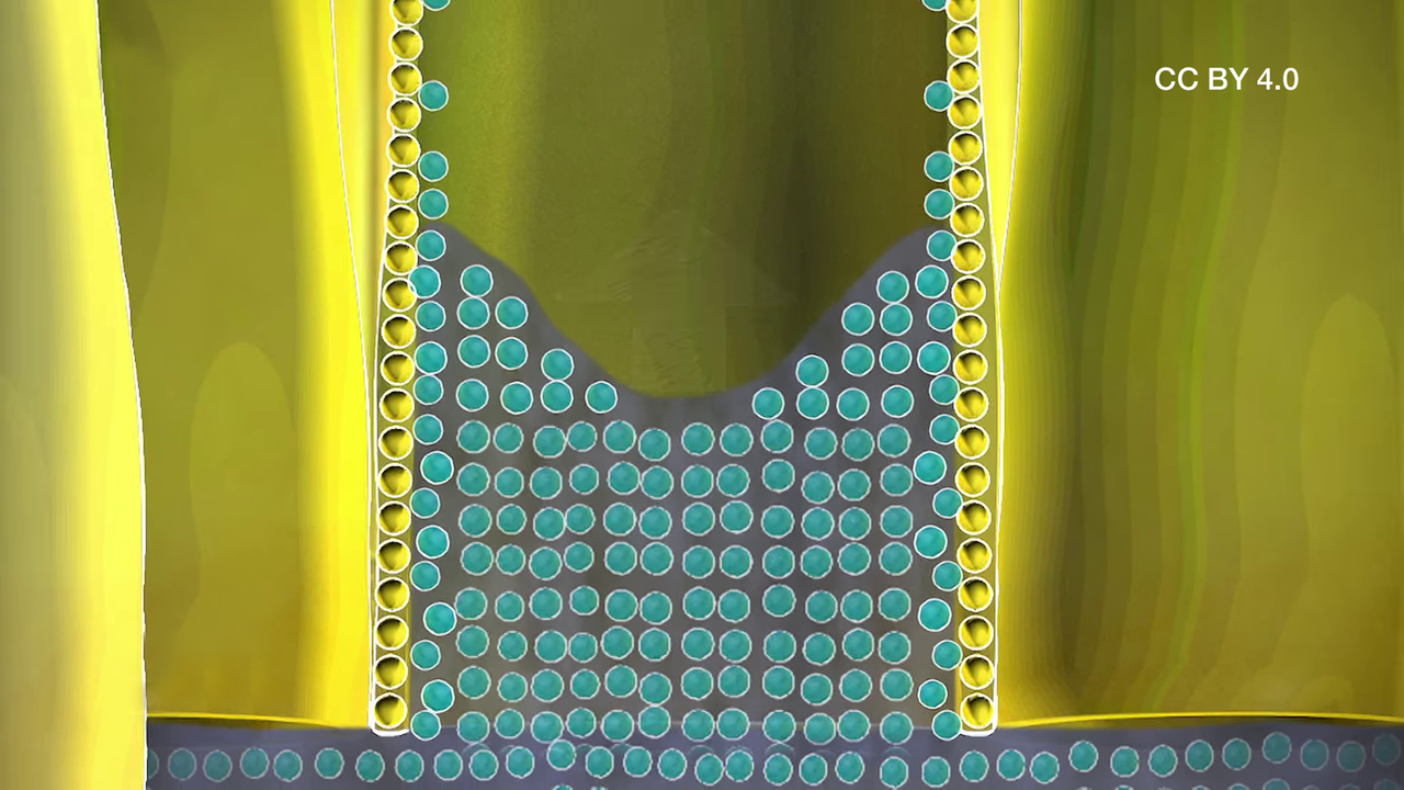 Wie wirken Adhäsions- und Kohäsionskräfte? (Creative Commons ...