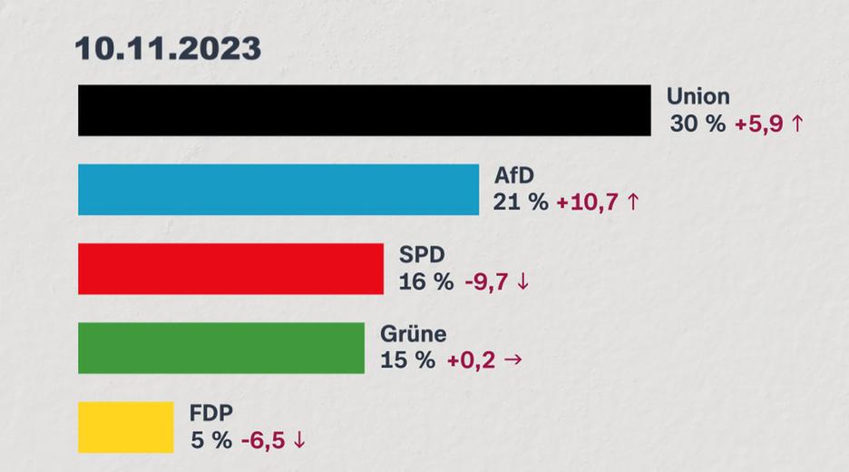 Über 20 Prozent: Umfragehoch für die AfD - ZDFheute