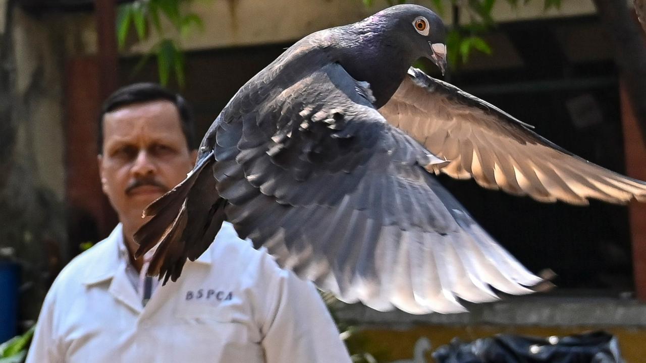 Jappy - Deine Online-Community