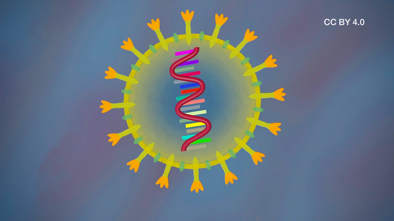 Britische Coronamutation CC