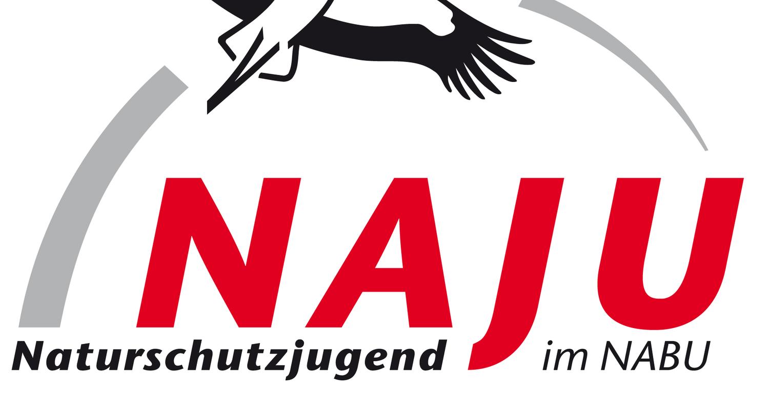 Naju Logo Photo & Image Portfolio By Tahfima Aktar Naju | Shutterstock