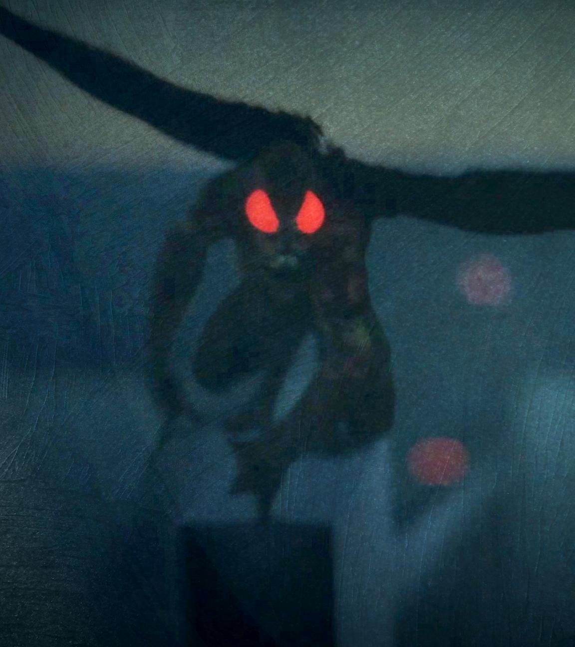 Echte Mothman Sichtungen Fliegender Mottenmann Schnappschüsse