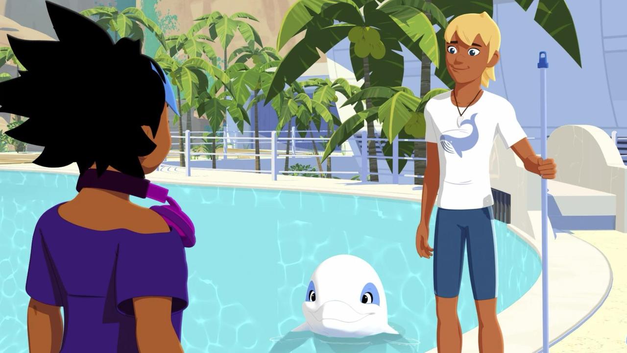 Zoom - Der weiße Delfin: Tag X - ZDFtivi