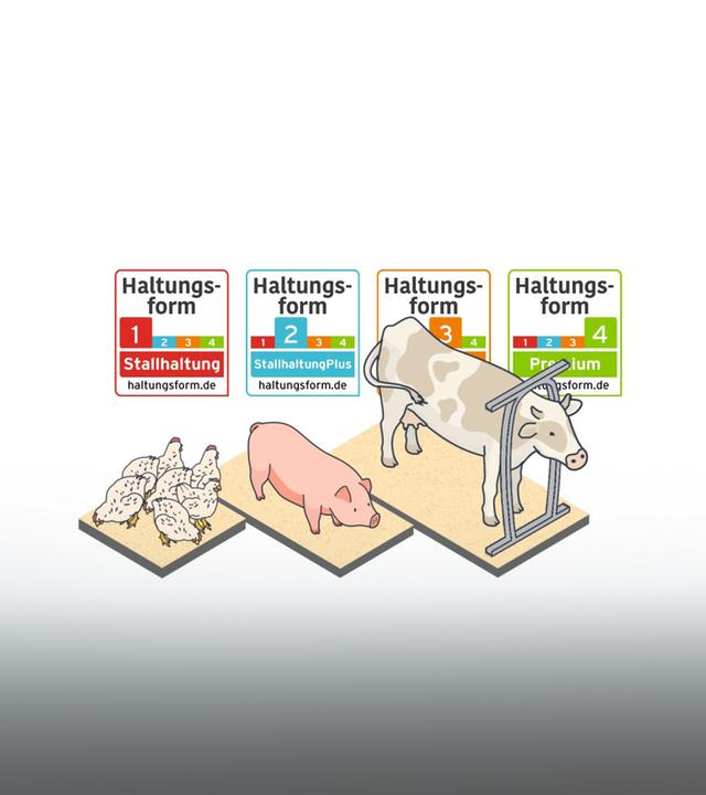 Ernährung - Tipps, News und Informationen - ZDFheute