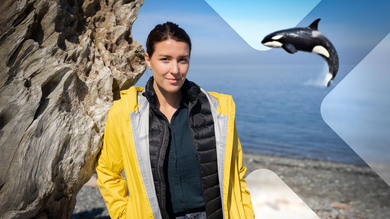 Faszination Erde: Kanada - im Reich des Wassers - ZDFmediathek