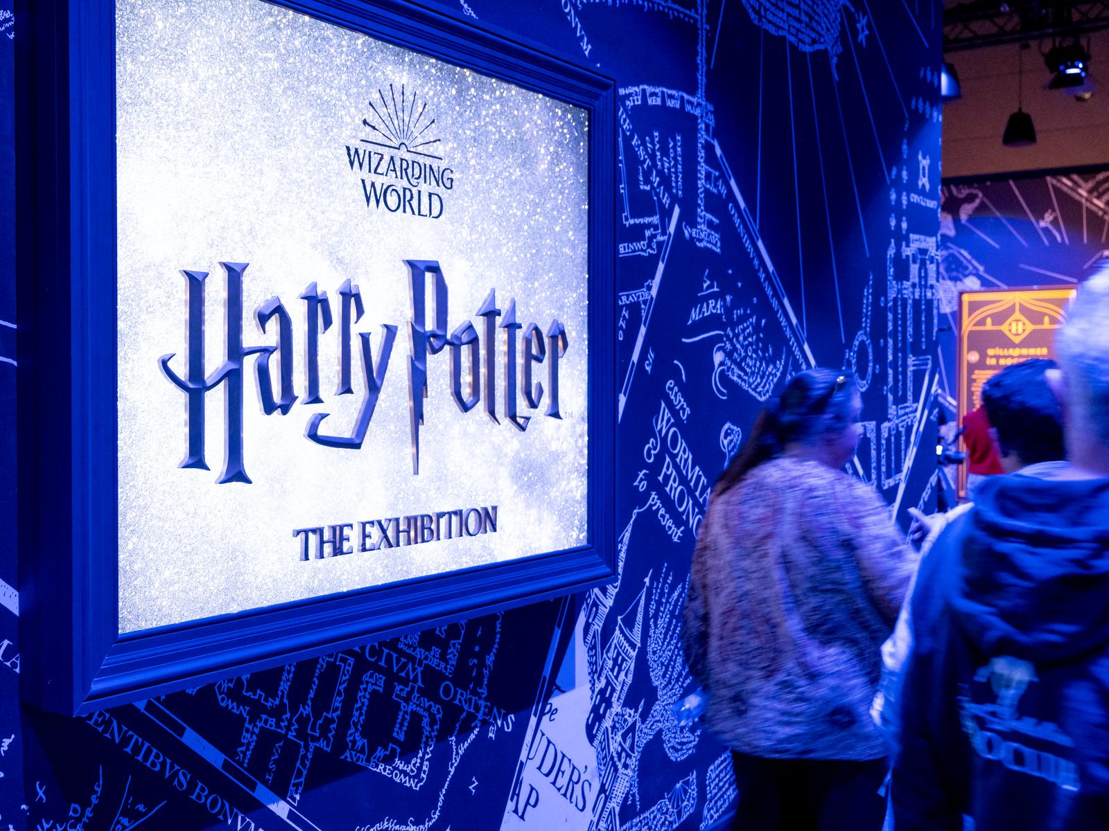 Gabrielle Harry Potter HARRY POTTER: Kammer Des Schreckens In