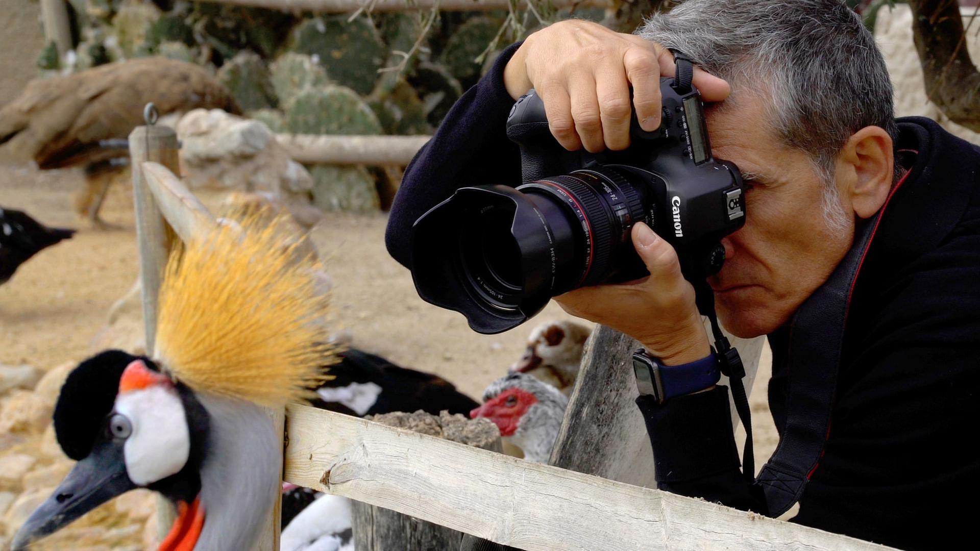 Tierisch fotogen: Miguel Vallinas aus Spanien