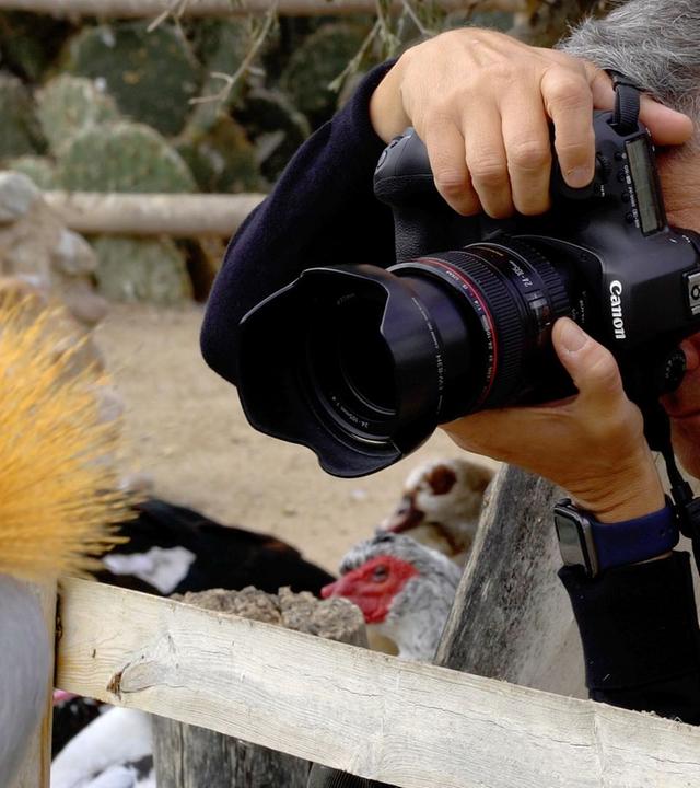 Tierisch fotogen: Miguel Vallinas aus Spanien