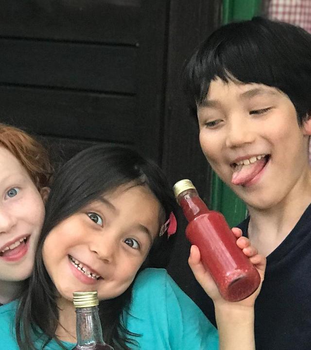 Nora und der Limonadenbaum