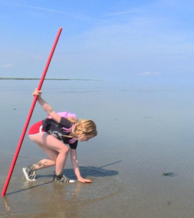 Sarah und das Wattenmeer