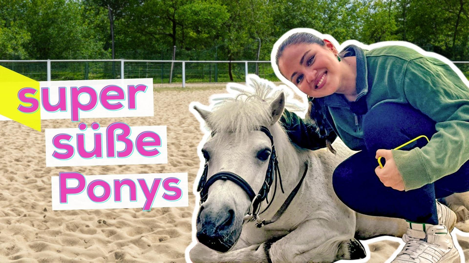 Schafft es Sarah ins Ponyteam?