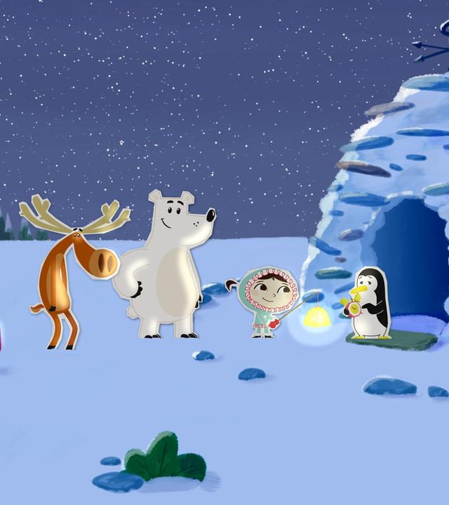 INUI: Eine wunderbare Nordlicht-Nacht