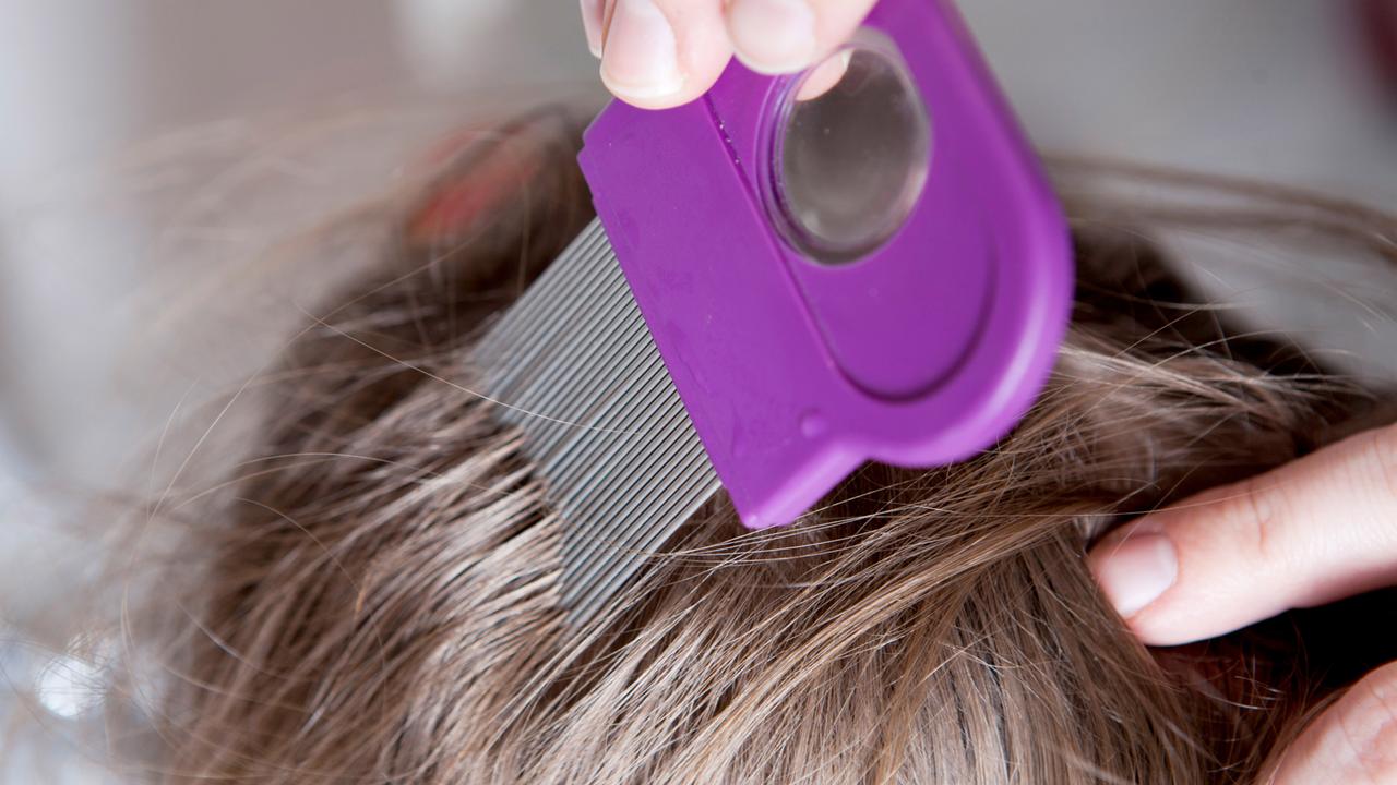 Kopfläuse erkennen, richtig behandeln und vorbeugen - ZDFheute