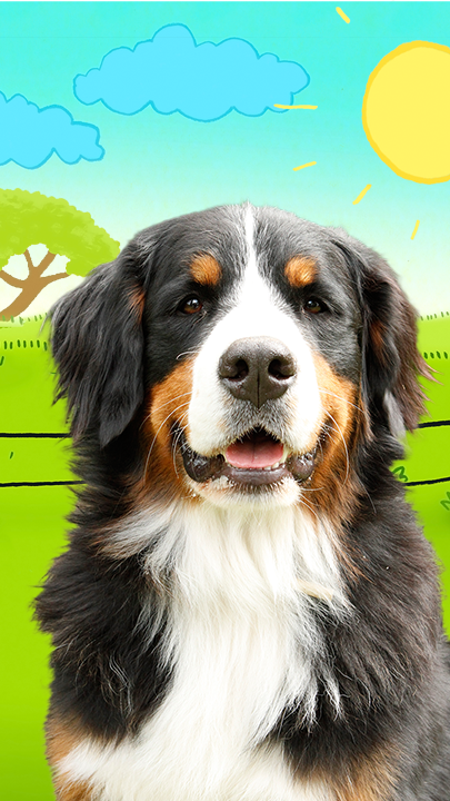 ZDFtivi - das Onlineangebot des ZDF-Kinder und Jugendprogramms - ZDFtivi