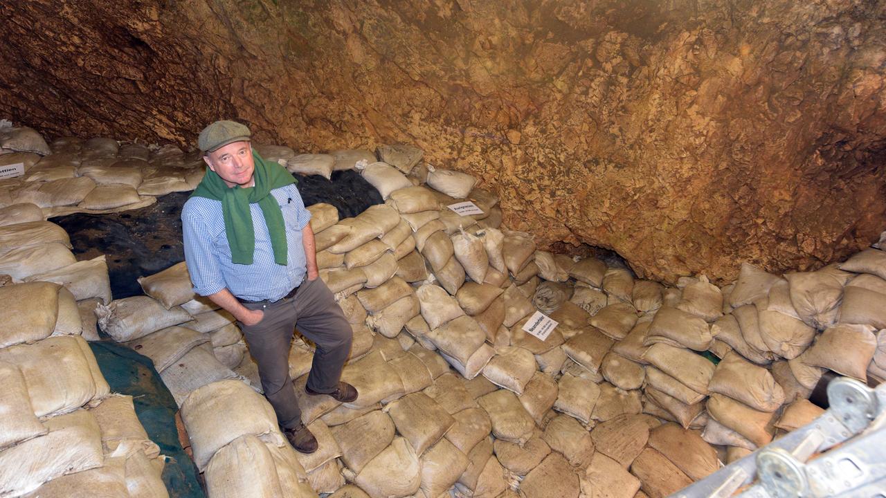 Der Menschheitsgeschichte auf der Spur - ZDFheute