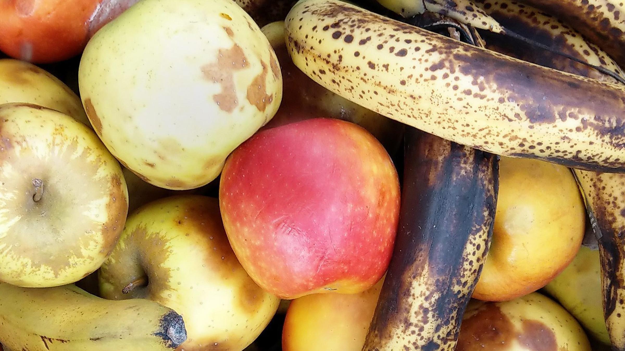 Ernährung - Tipps, News und Informationen - ZDFheute