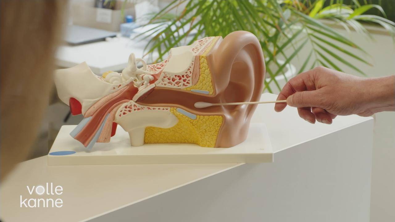 Ohren richtig säubern und pflegen - ZDFmediathek