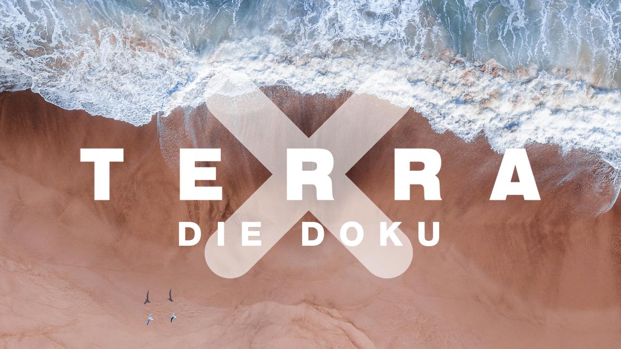 Terra X – ZDF goes Schule