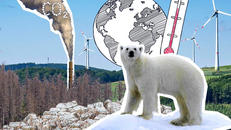 logo!-Thema: Klima und Klimawandel - einfach erklärt - logo!