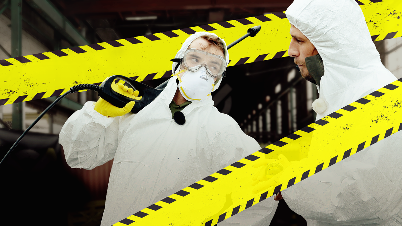 Top 3 - Ganz schön eklig - ZDFtivi