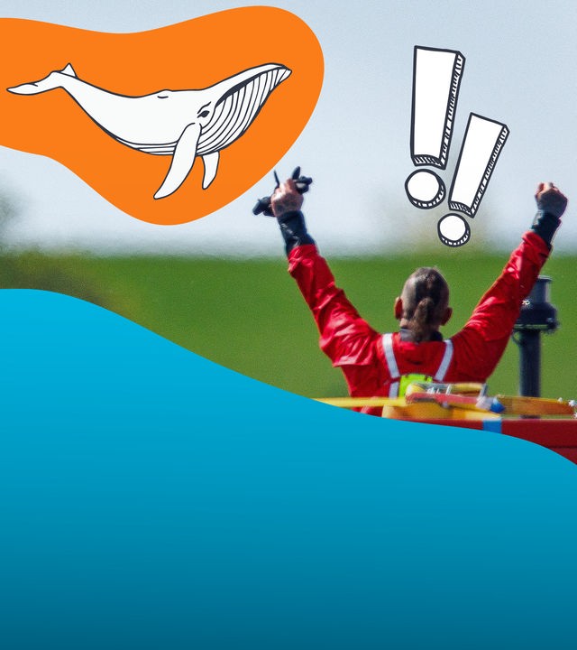 Walrettung mit dem Boot